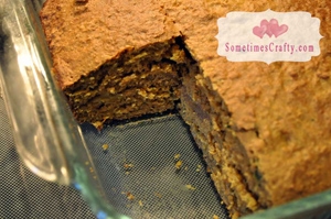 Juicing Pulp Cake - Sometimes Crafty